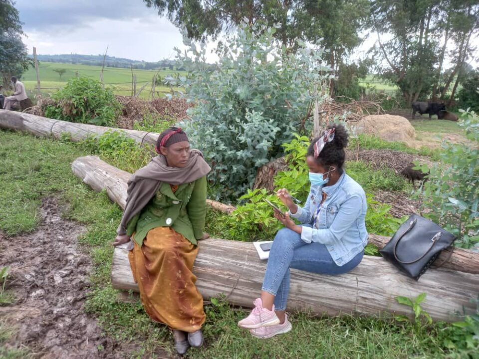 Gender balance in enumerator field teams