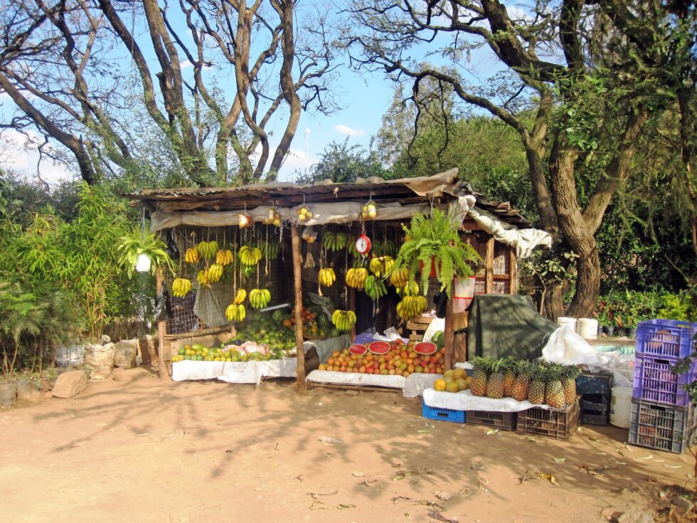 The future of work in Kenya’s informal economy - Laterite